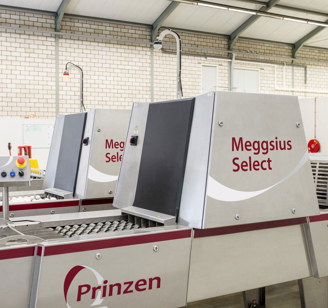 Meggsius Select - Vencomatic Group